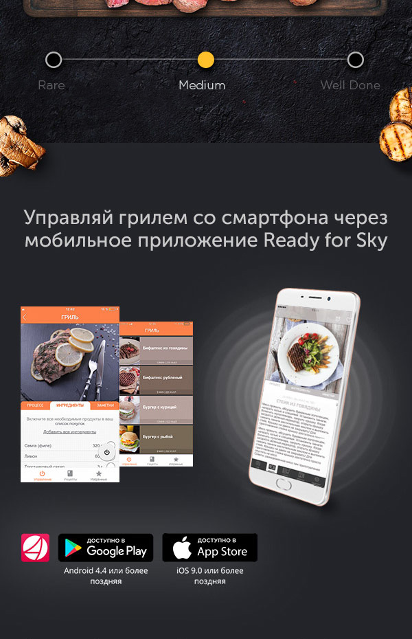 Умный гриль REDMOND SkyGrill M810S: купить в Москве, СПб, России ...